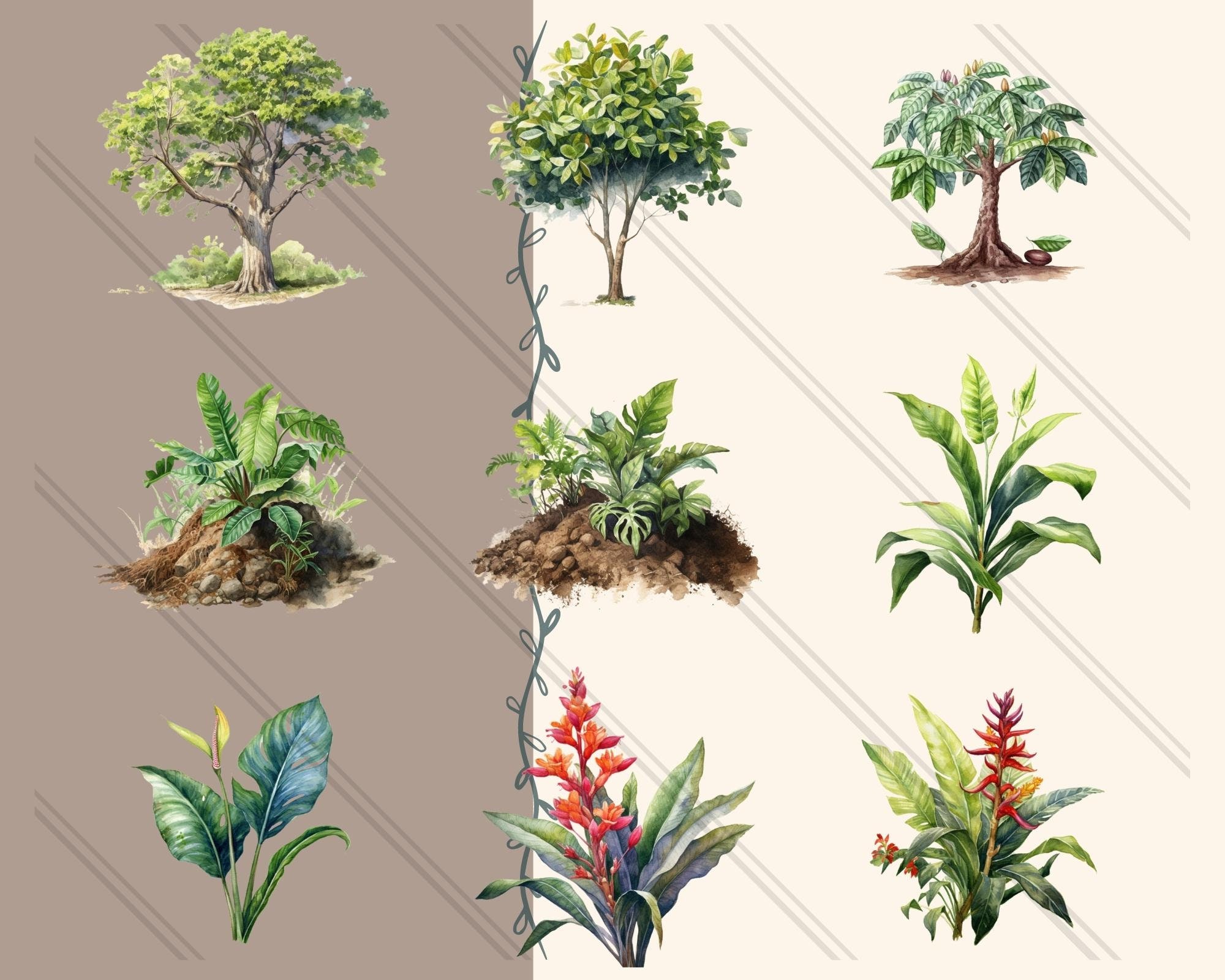 54 Jungle Animals Clipart Watercolor Bundle, Jungle Safari PNG, African ...