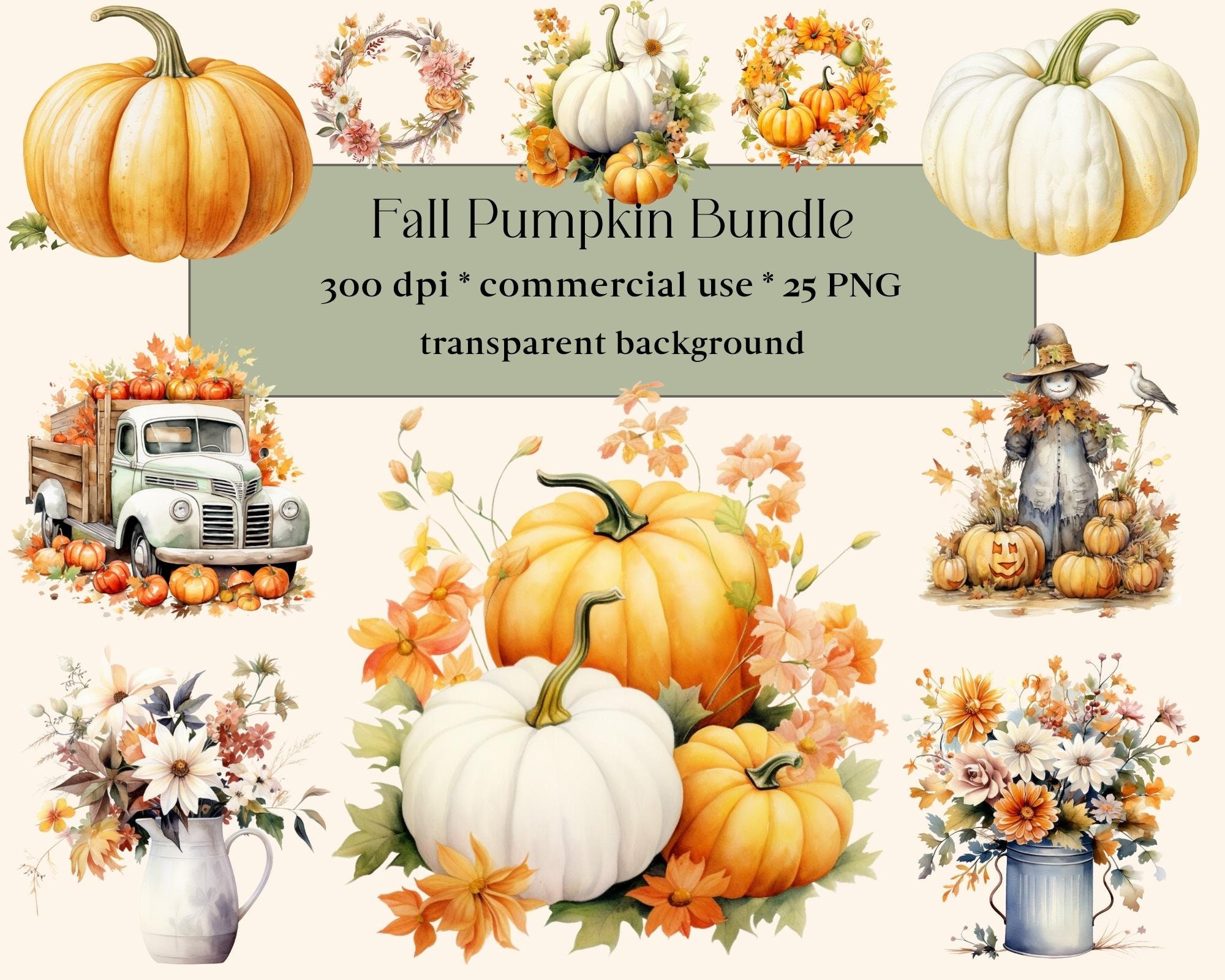 25 Watercolor Fall Clipart Dry Flowers Pumpkins Floral - Etsy