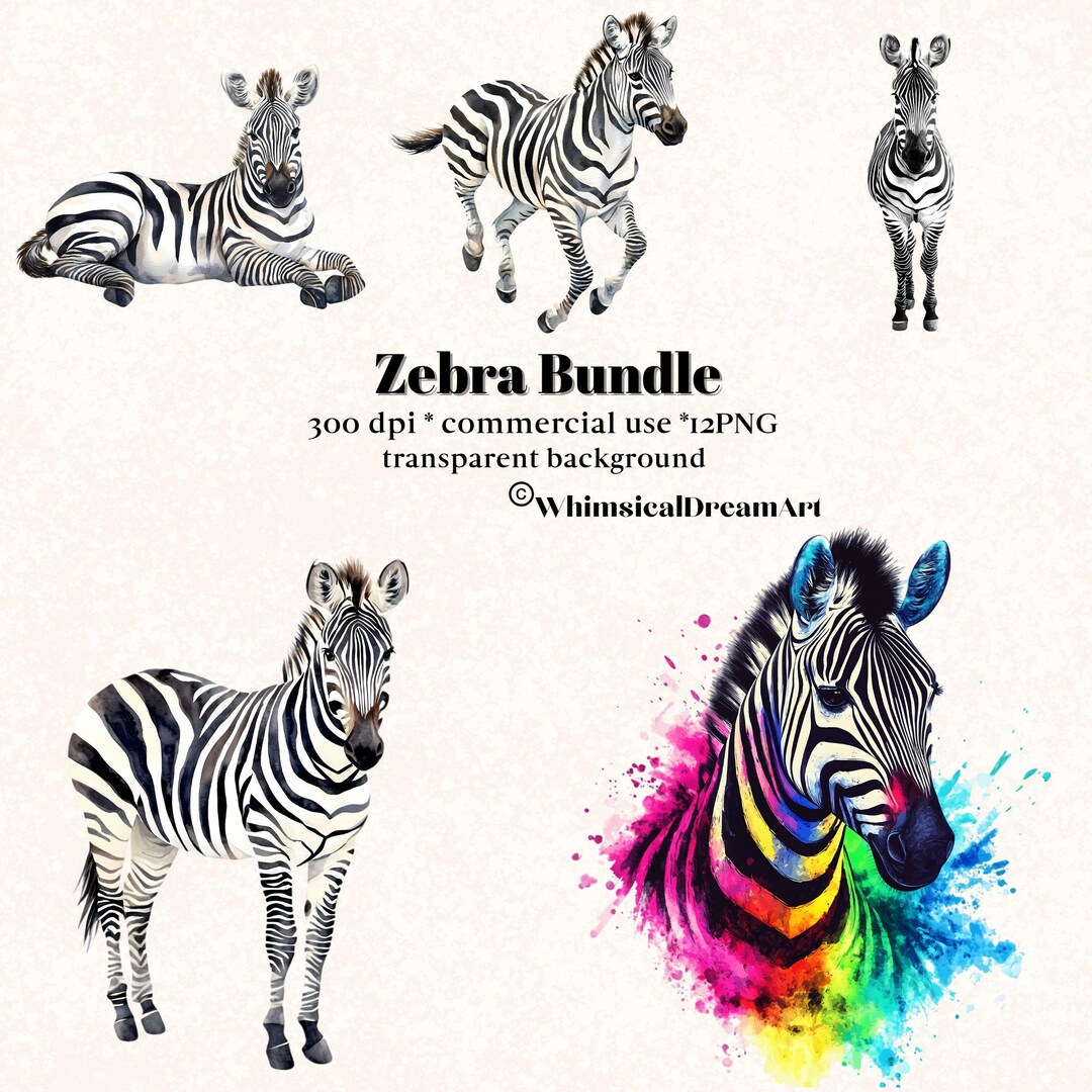 12 Watercolor Zebra Animal Collection Clipart, PNG Realistic Animals ...