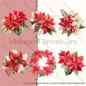 24 Poinsettias PNG Collection, Clipart Set, Watercolor Sublimation ...