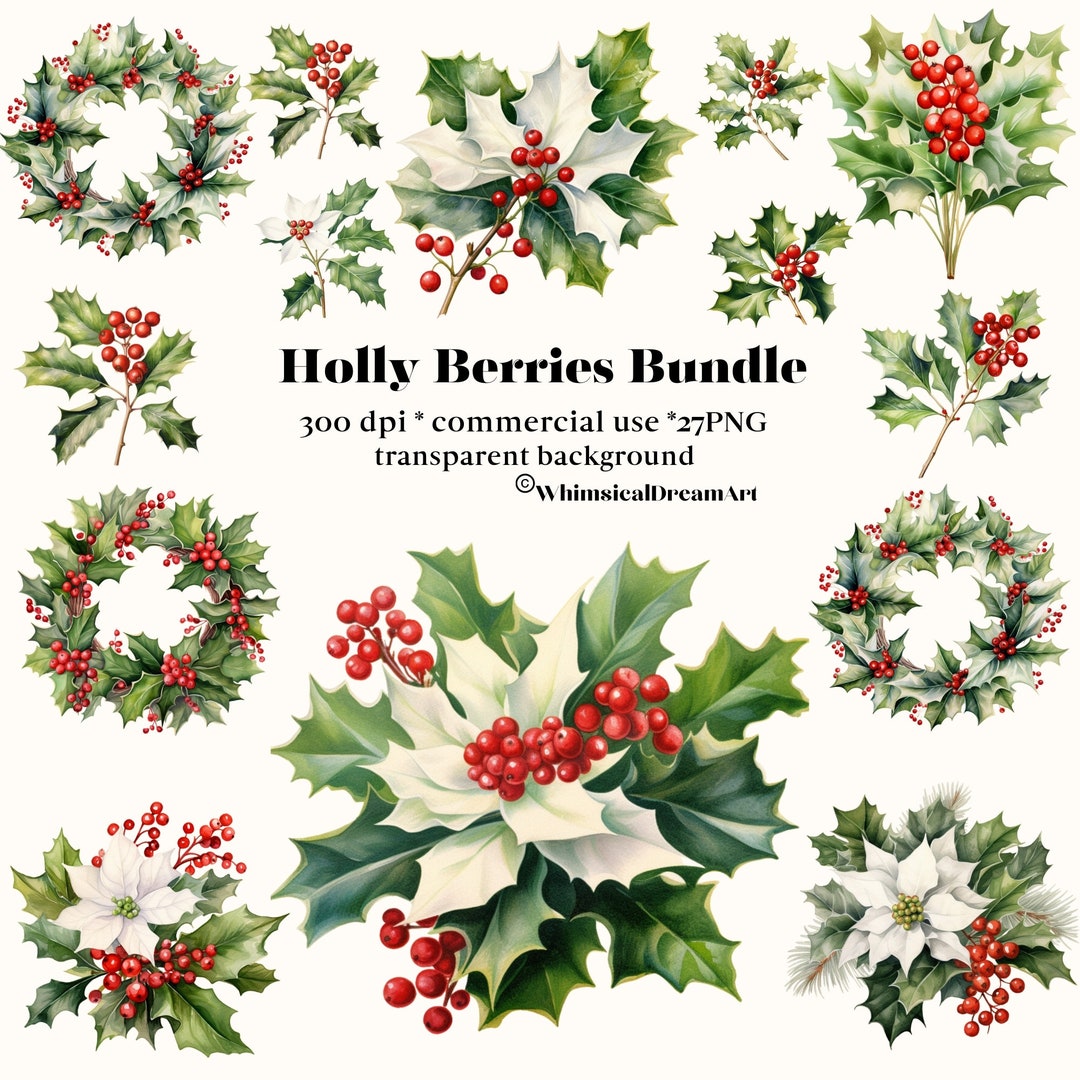 27 Watercolor Christmas Holly Clipart, Festive Floral Clipart PNG ...