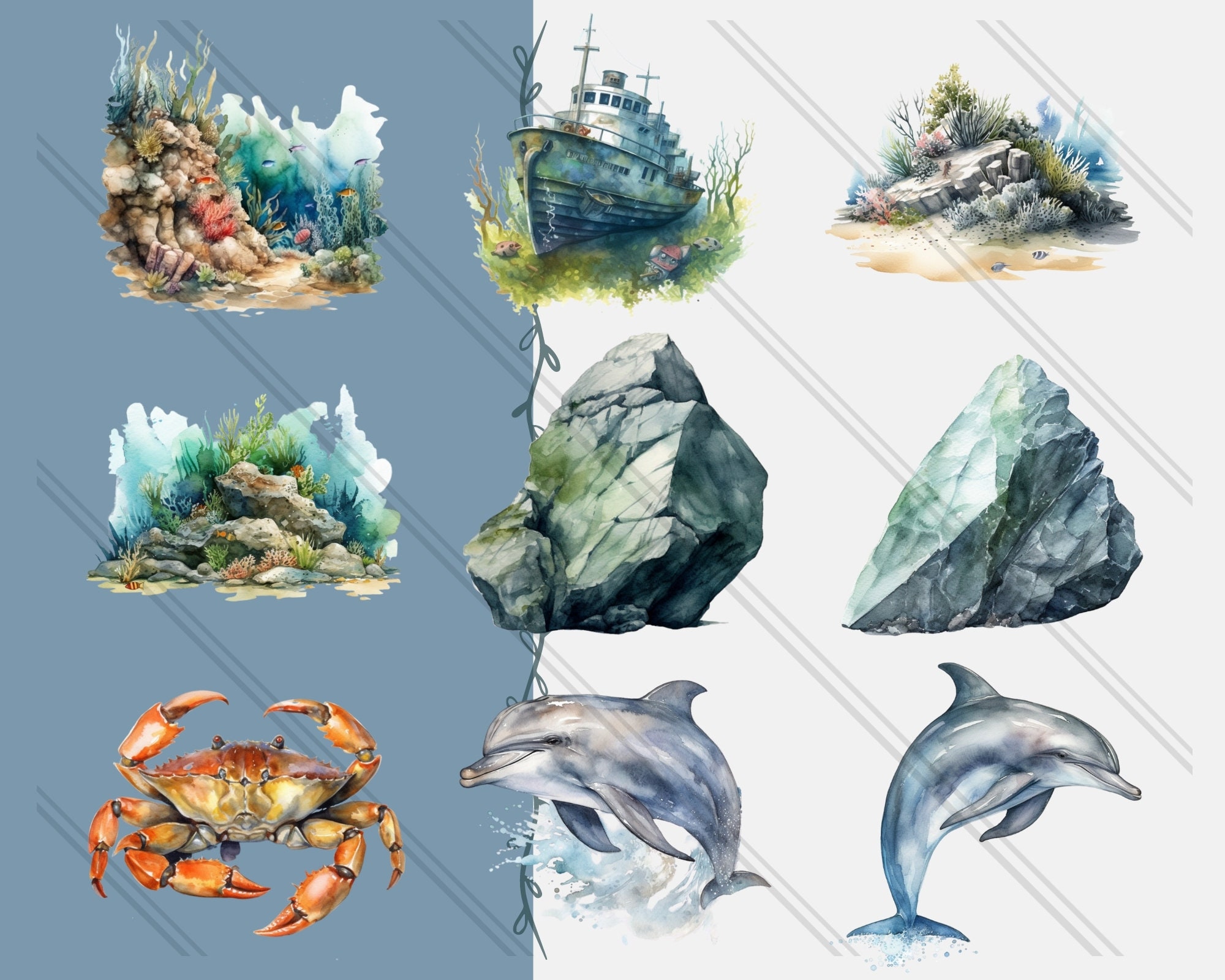 54 Watercolor Sea Creatures Clipart PNG Sealife Wall Art - Etsy