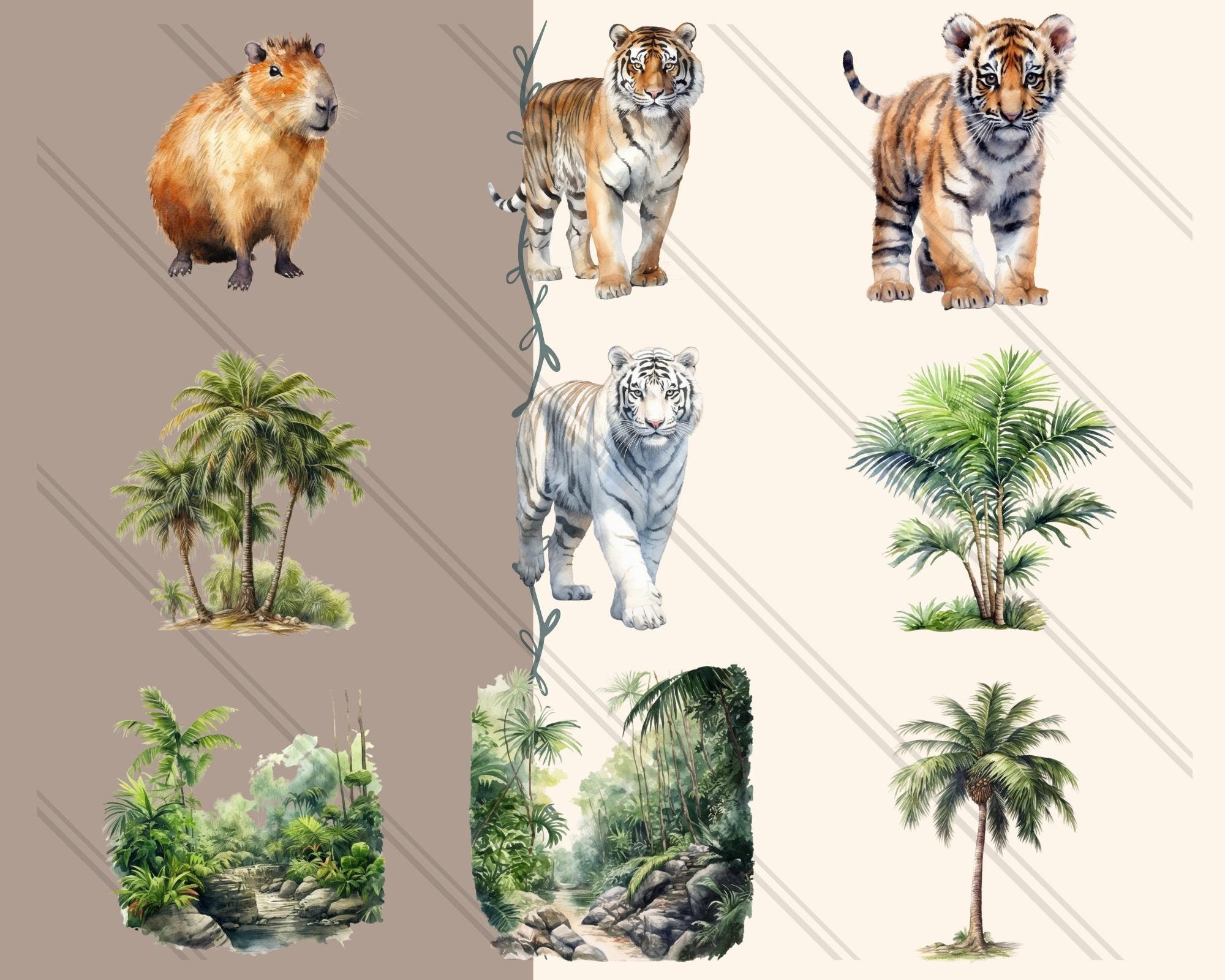54 Jungle Animals Clipart Watercolor Bundle, Jungle Safari PNG, African ...