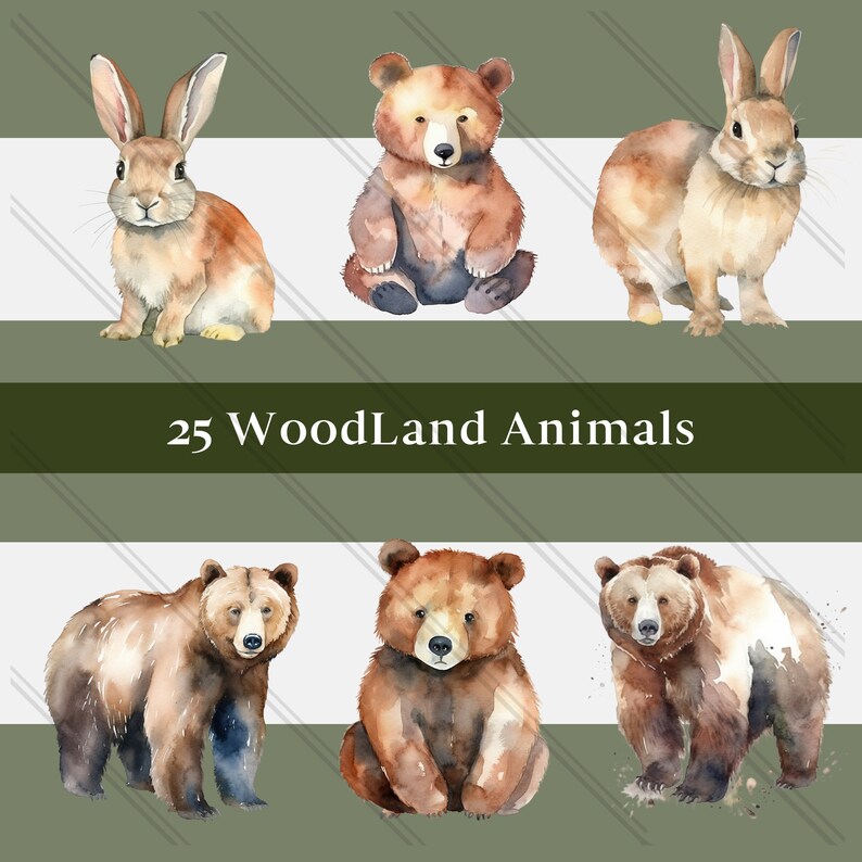 25 Woodland Animals Clipart, PNG, Watercolor Forest Animal Clipart ...