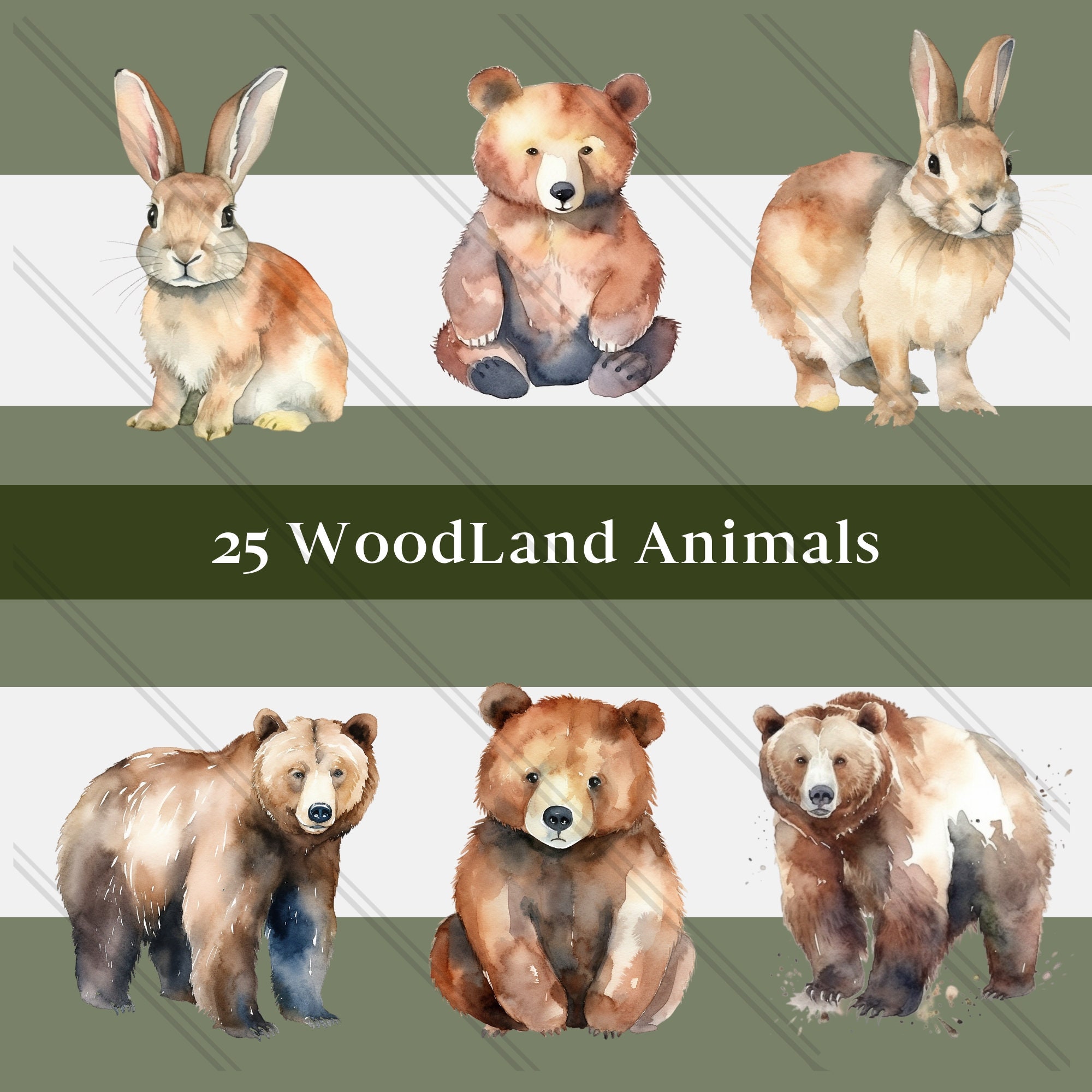 25 Woodland Animals Clipart PNG Watercolor Forest Animal - Etsy