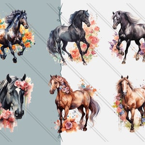 24 Horse PNG Collection |horse Clipart Set |watercolor Sublimation ...