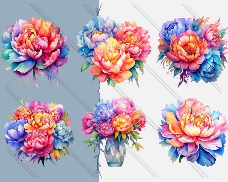 24 Watercolor Rainbow Peonies Clipart, Colorful Peony Clip Art Bundle ...