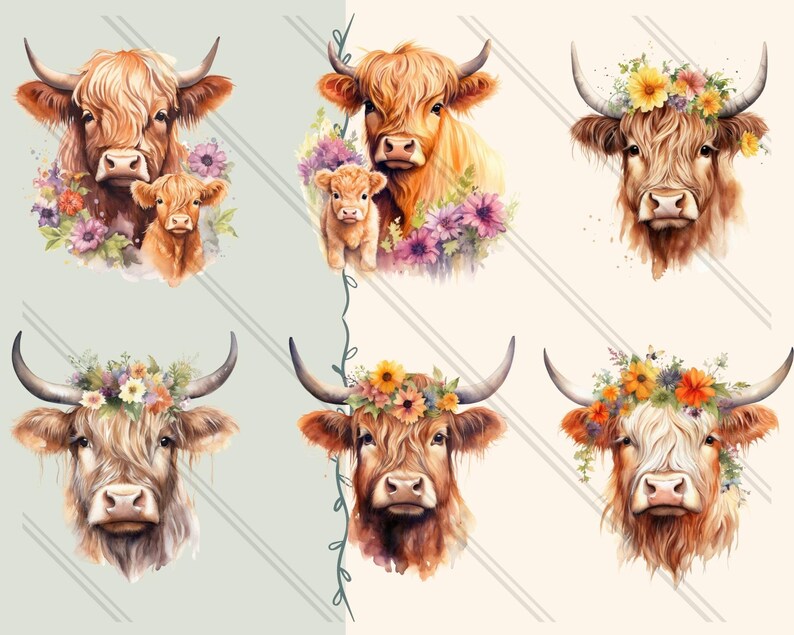 24 Highland Cow and Flower PNG Collection Highland Cow - Etsy