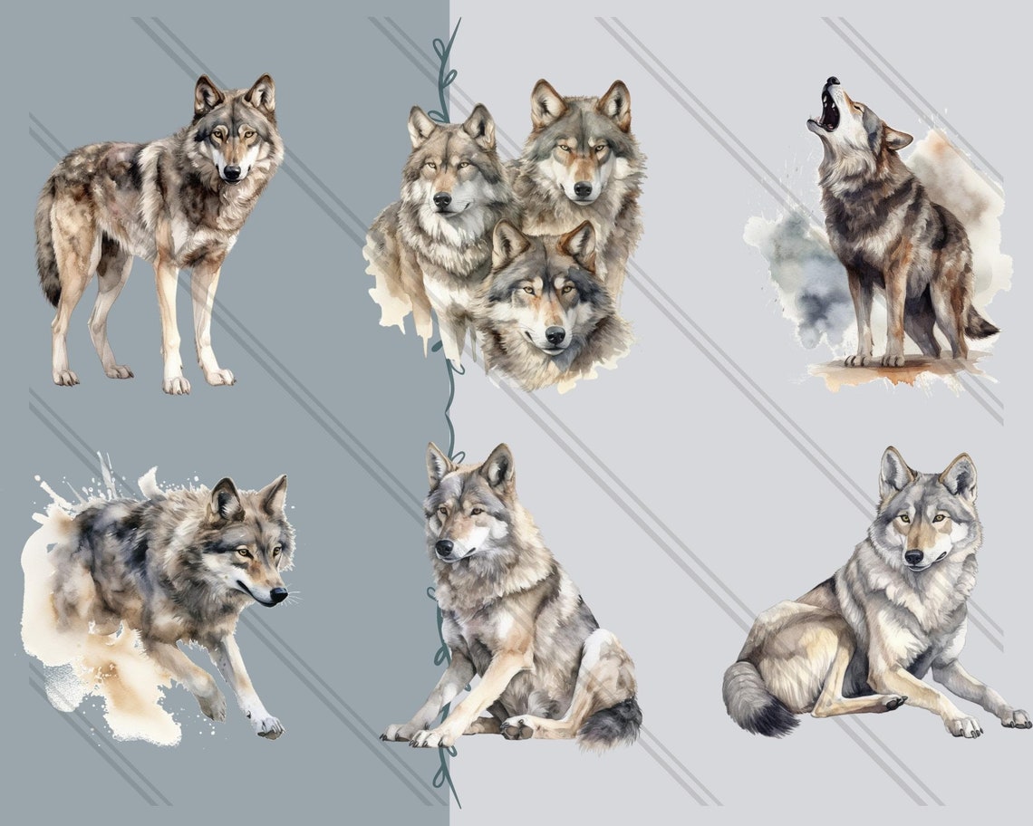24 Wolf PNG Collection Watercolor Wolves Pack Wolf Pack - Etsy