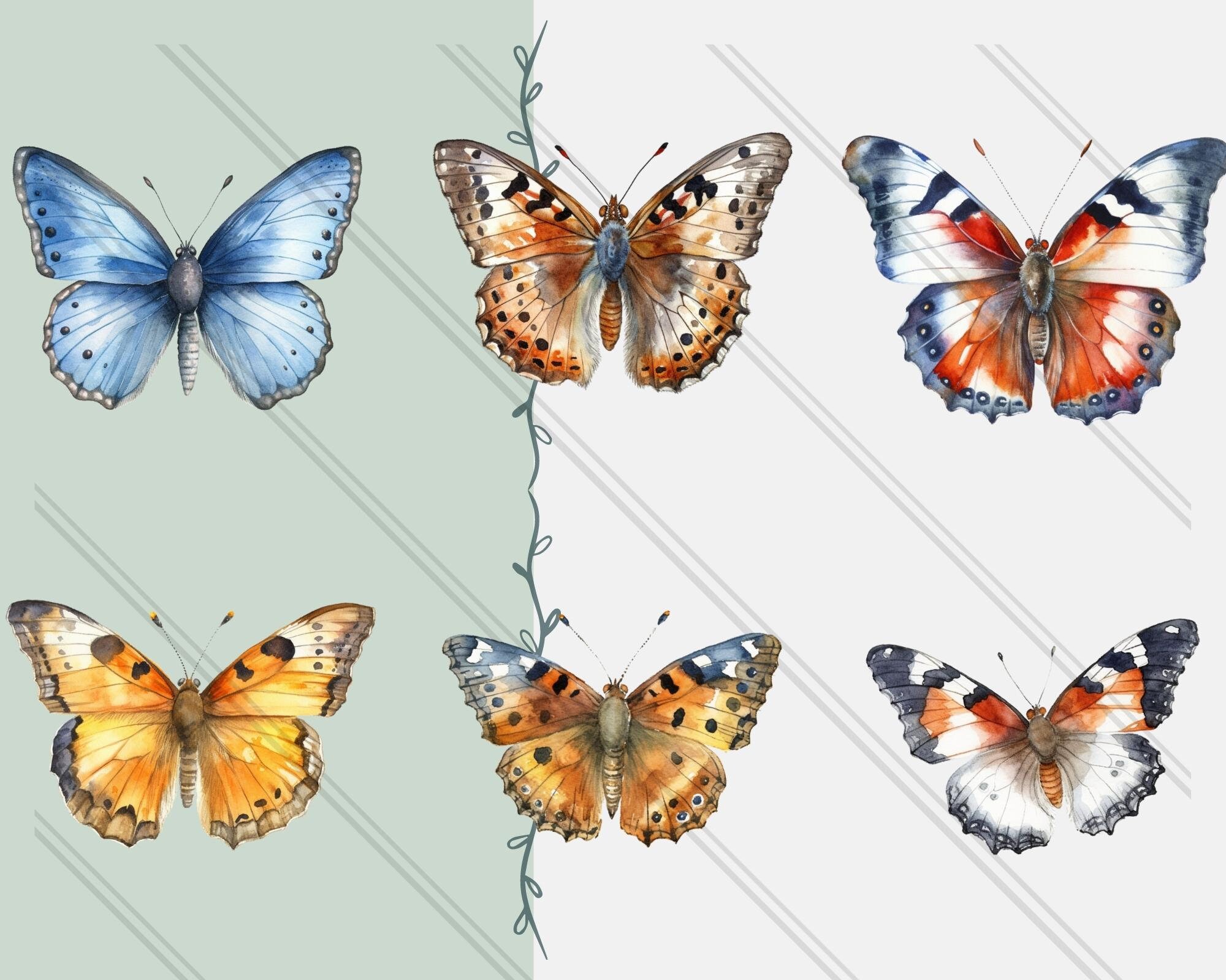 28 Butterfly Clipart Watercolor Monarch Butterfly PNG - Etsy
