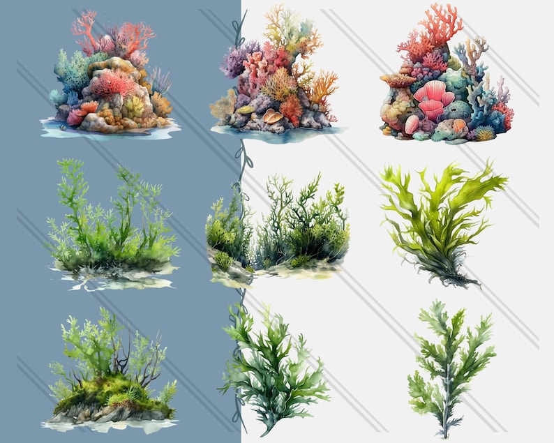 54 Watercolor Sea Creatures Clipart, PNG, Sealife, Wall Art, Turtle ...