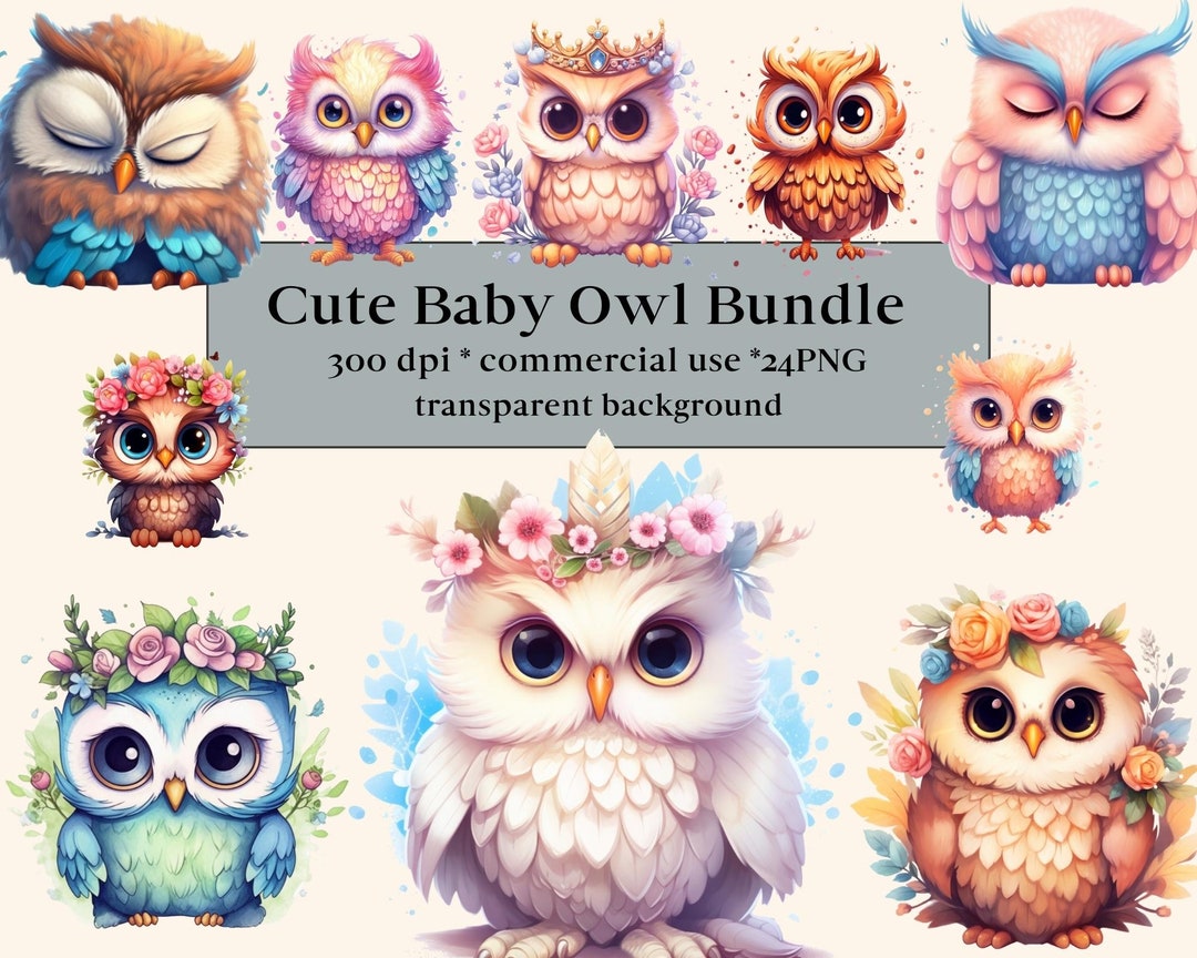 24 PNG Cute Baby Owls Printable Digital Image Bundle - Etsy