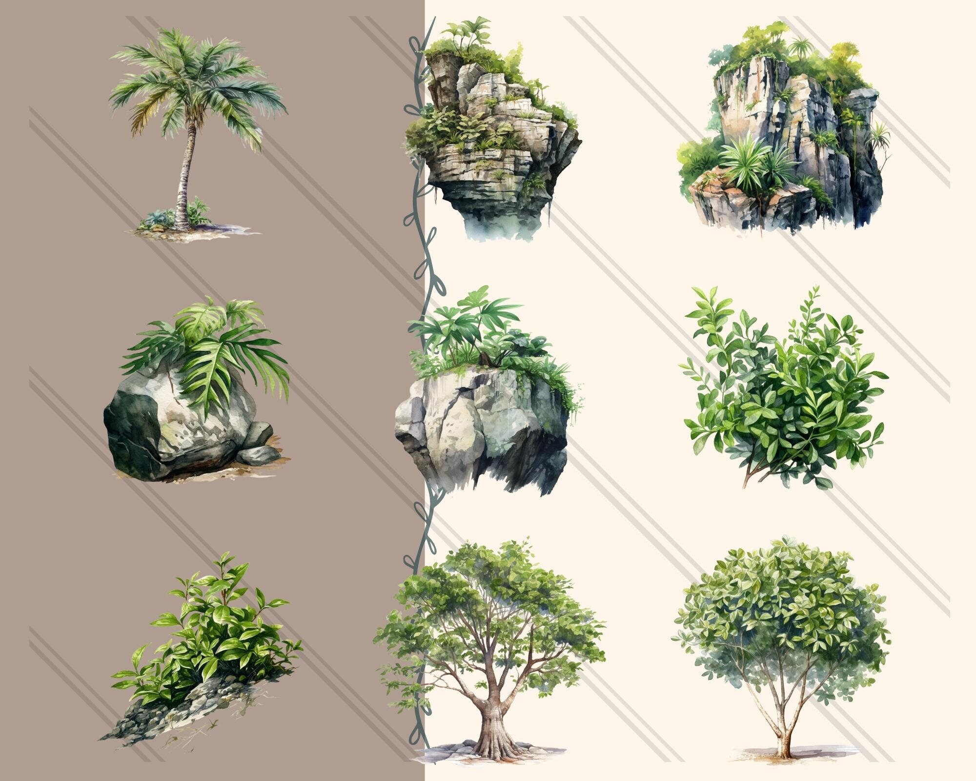 54 Jungle Animals Clipart Watercolor Bundle, Jungle Safari PNG, African ...