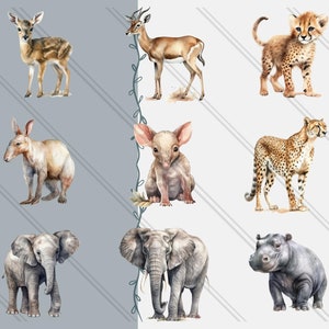 52 Safari Animals Clipart Watercolor Bundle, Jungle Safari PNG, African ...