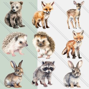 52 Woodland Animals Clipart Watercolor Bundle, Commercial Use ...
