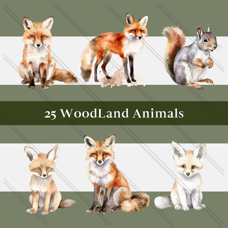 25 Woodland Animals Clipart, PNG, Watercolor Forest Animal Clipart ...