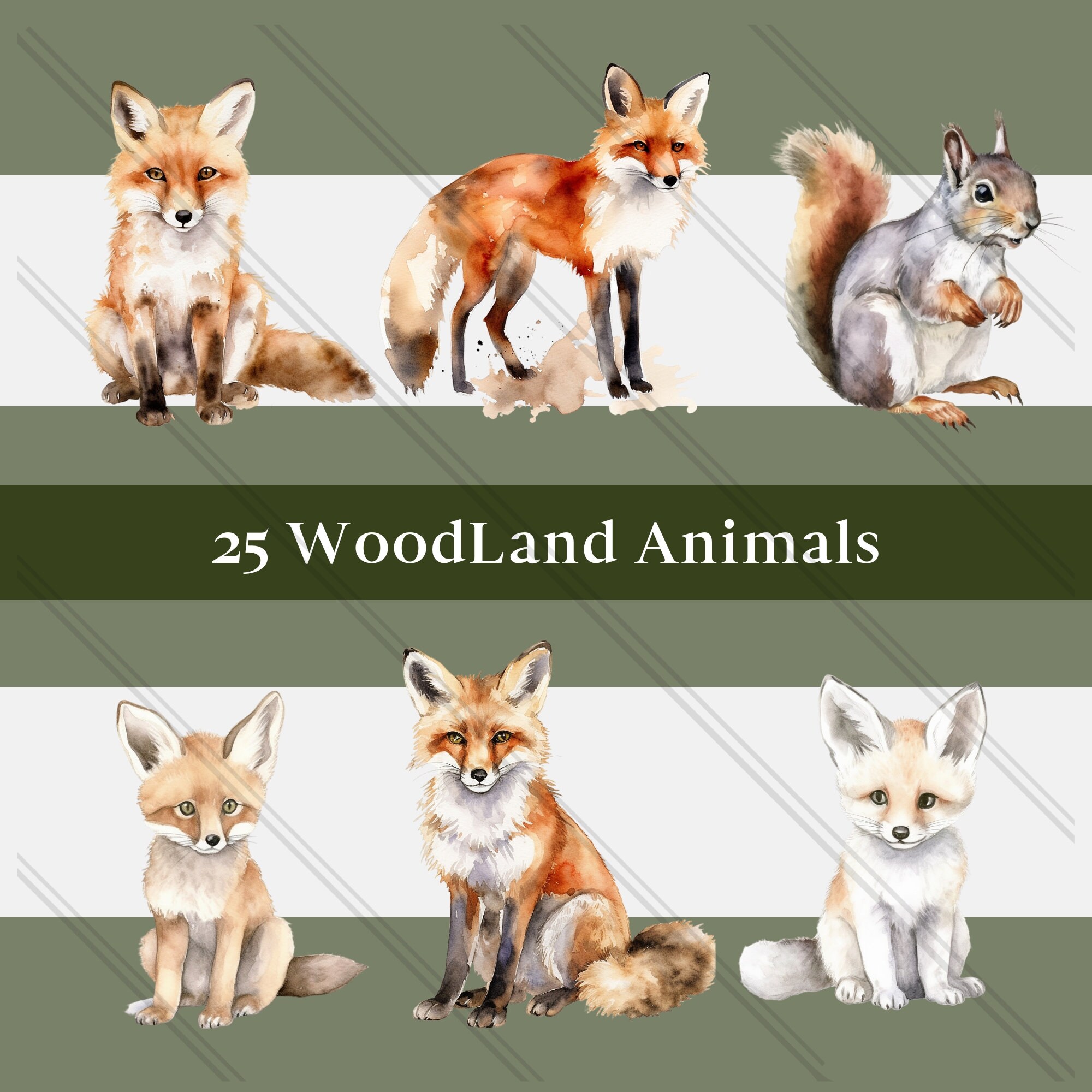 25 Woodland Animals Clipart PNG Watercolor Forest Animal - Etsy