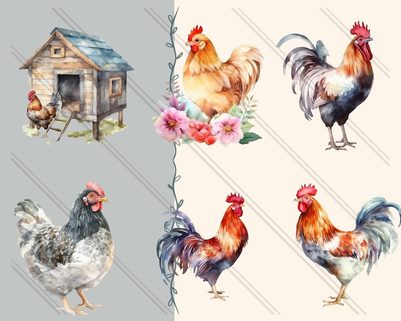24 Watercolor Chicken Clipart Bundle Cute Flower Chicken and - Etsy