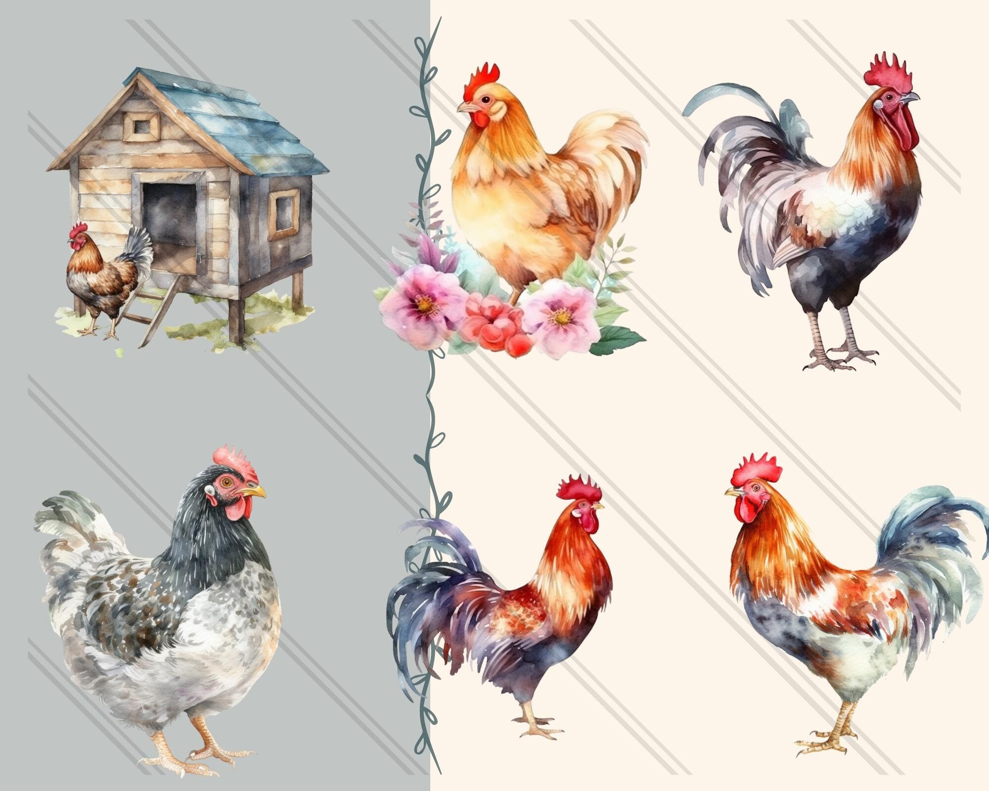 24 Watercolor Chicken Clipart Bundle Cute Flower Chicken and - Etsy