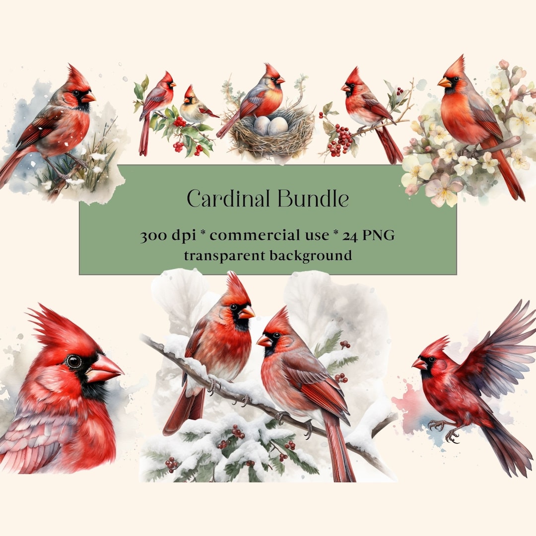 24 Red Cardinal PNG | Red Cardinal Bird | Cardinal Clipart | Watercolor ...