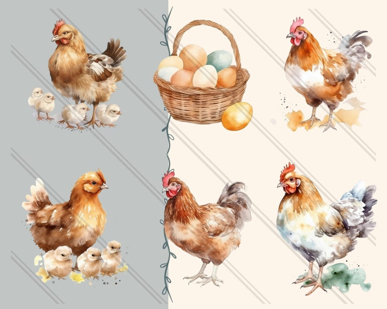 24 Watercolor Chicken Clipart Bundle - Cute Flower Chicken and Chicks ...