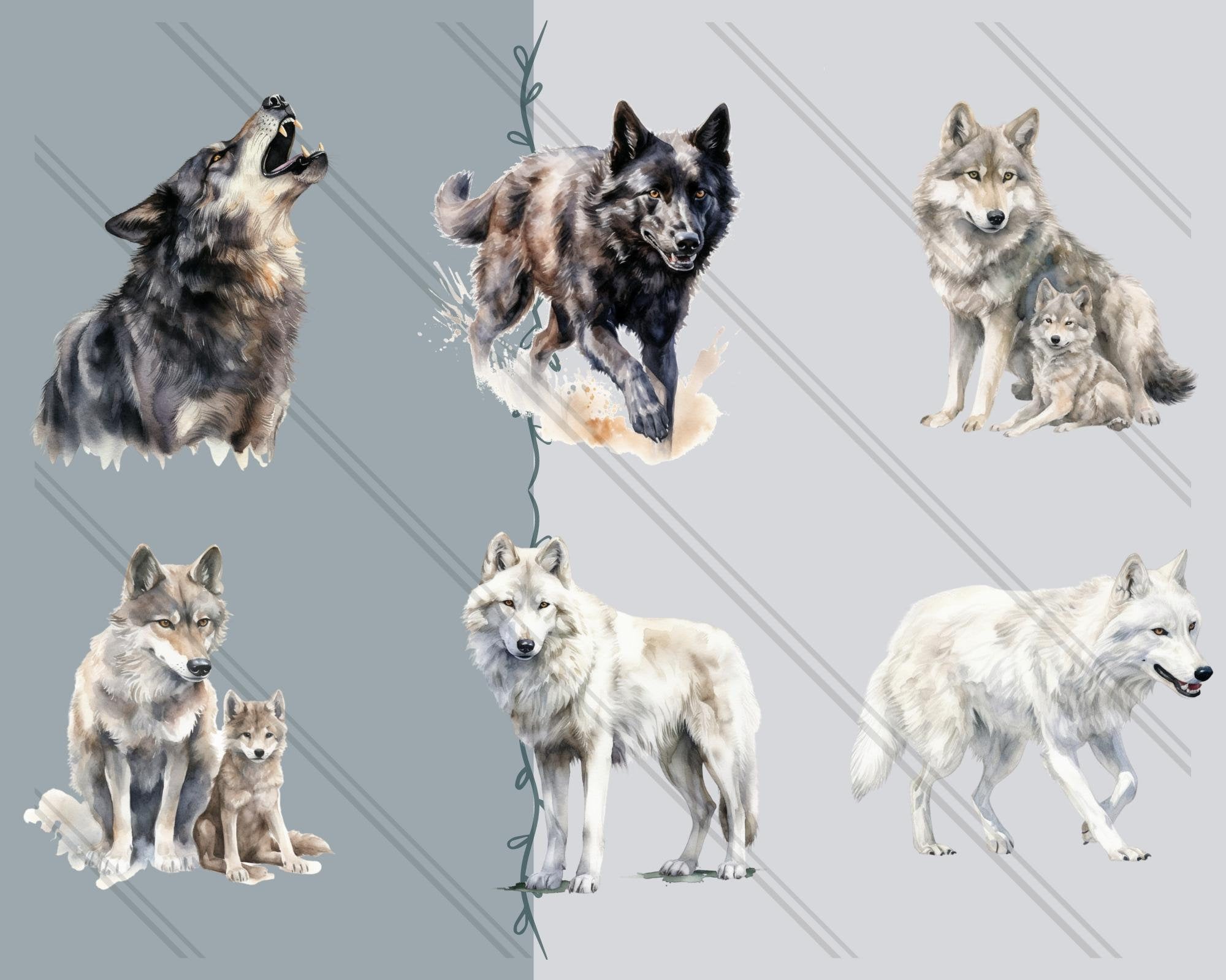 24 Wolf PNG Collection Watercolor Wolves Pack Wolf Pack - Etsy