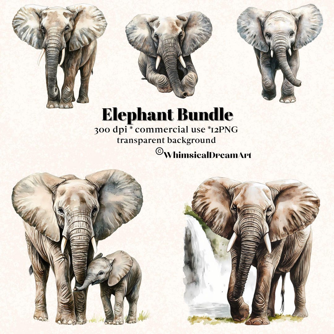 12 Watercolor Elephant Animal Collection Clipart, PNG Realistic Animal ...