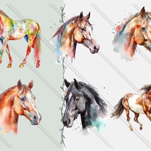 22 Horse PNG Collection | Horse Clipart Set | Watercolor Horse ...