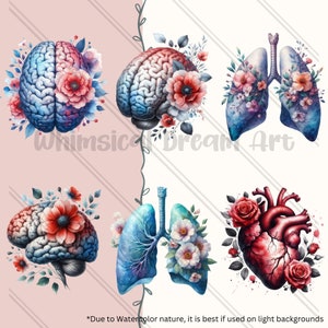 32 PNG Watercolor Organ & Flower Clipart, Watercolor Human Anatomy ...