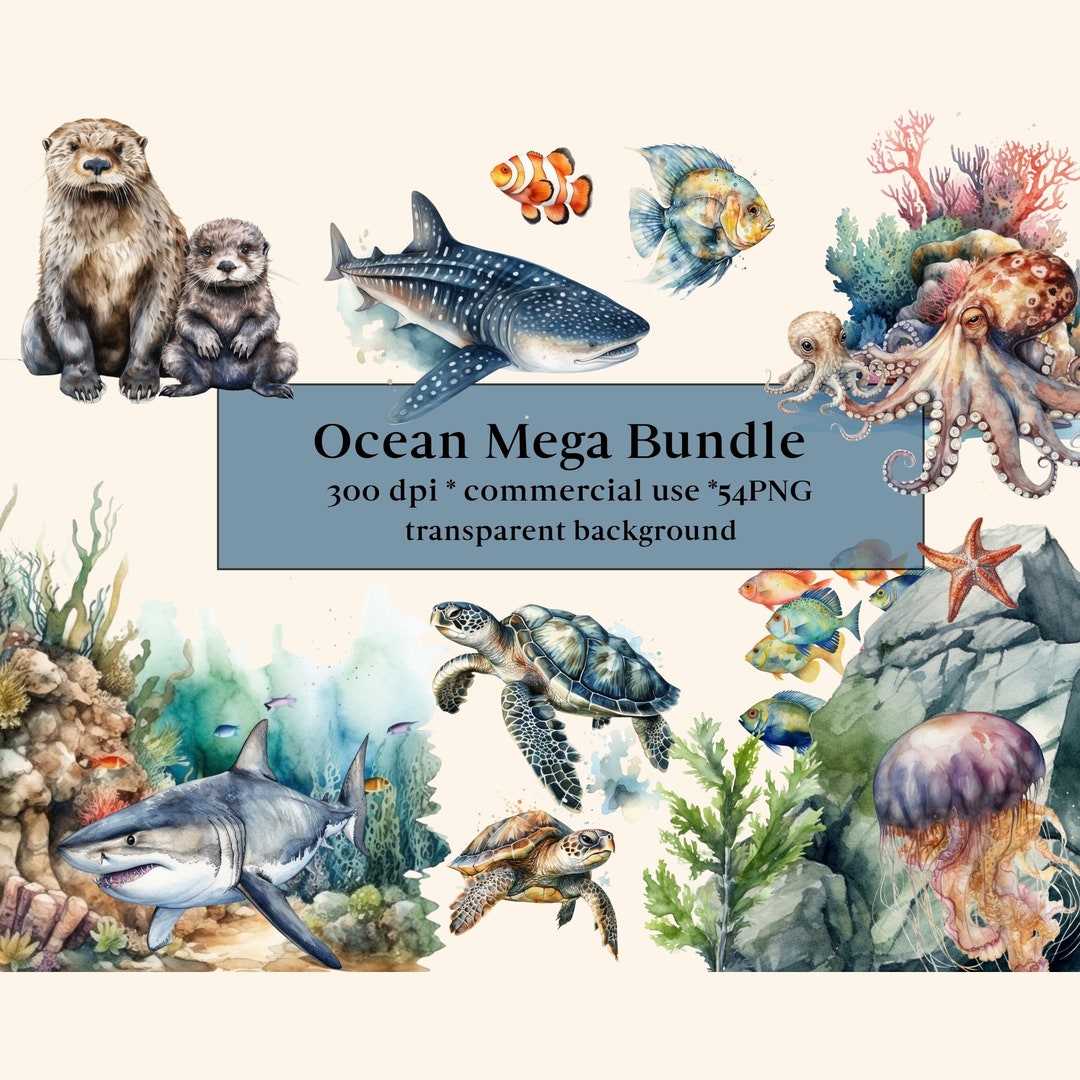 54 Watercolor Sea Creatures Clipart, PNG, Sealife, Wall Art, Turtle ...