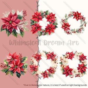 24 Poinsettias PNG Collection, Clipart Set, Watercolor Sublimation ...