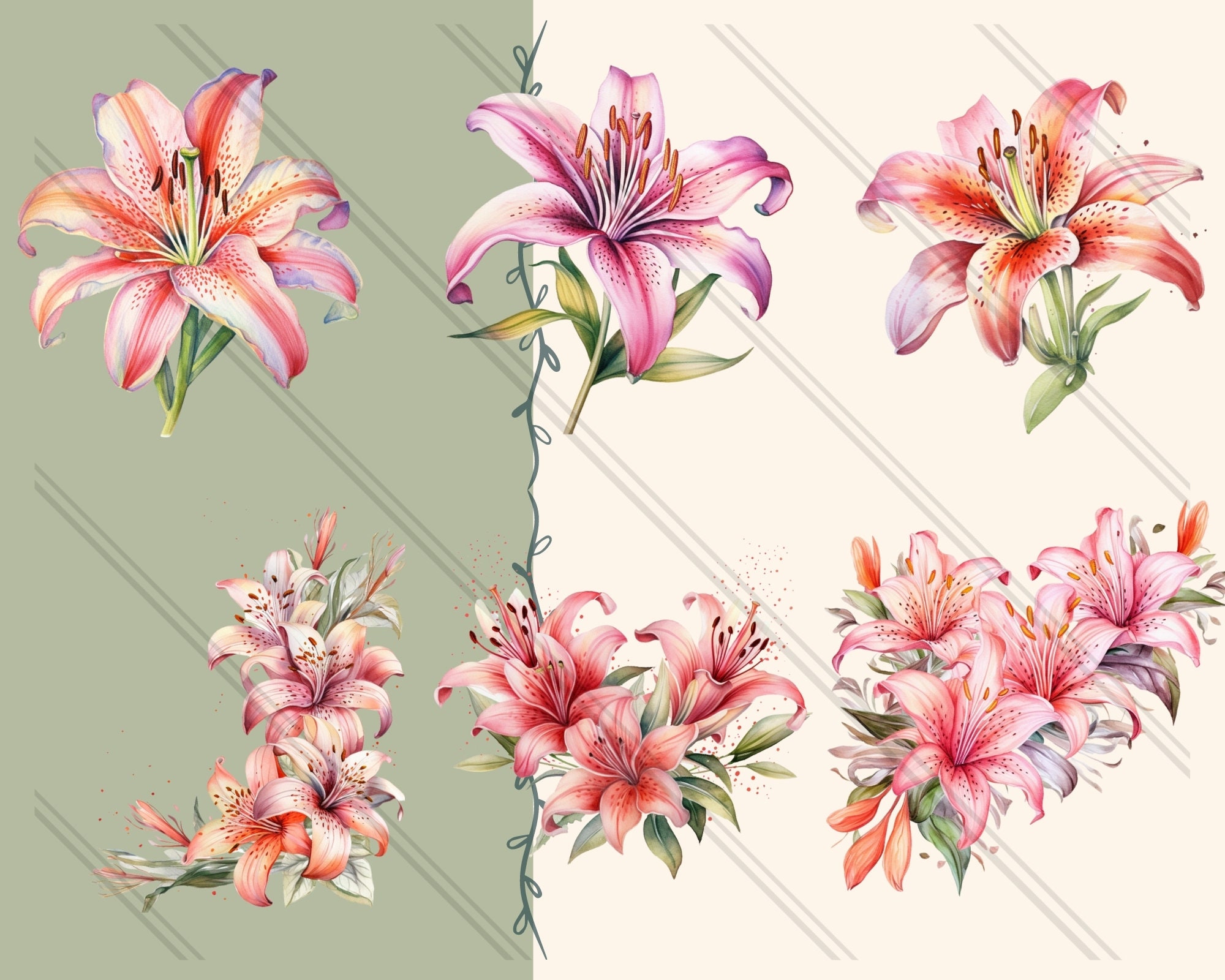 24 Watercolor Pink Tiger Lily Clipart Lilies Floral Frames - Etsy