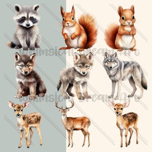 51 Woodland Animals Clipart, Watercolor Forest Animals Png, Wild ...