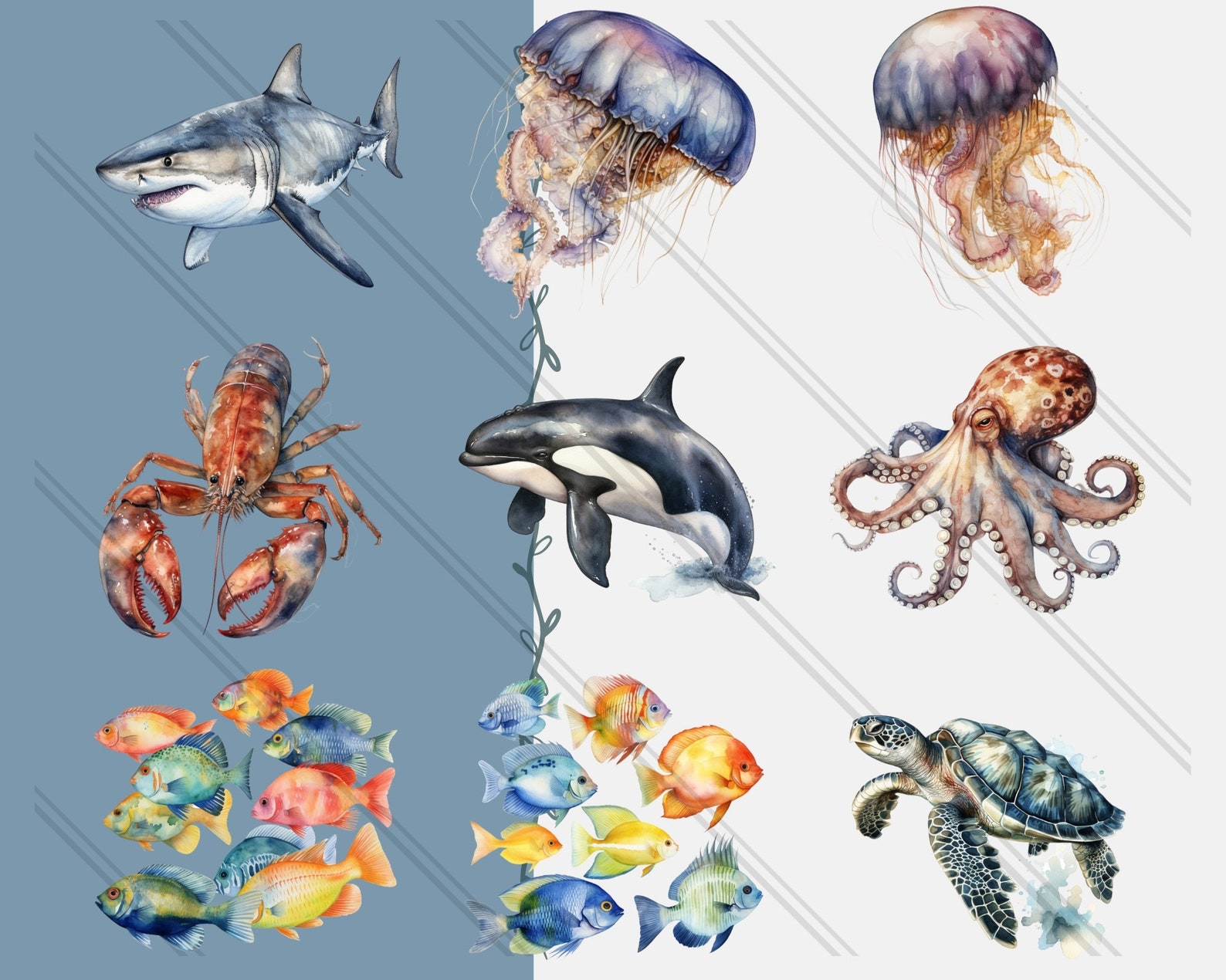 54 Watercolor Sea Creatures Clipart PNG Sealife Wall Art - Etsy