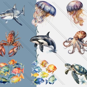 54 Watercolor Sea Creatures Clipart, PNG, Sealife, Wall Art, Turtle ...