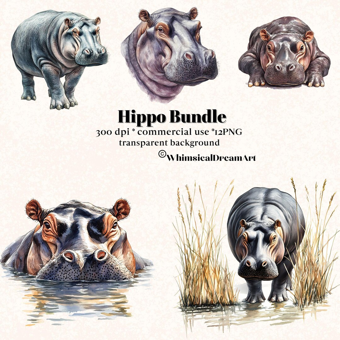 12 Watercolor Hippo Animal Collection Clipart, PNG Realistic Animals ...