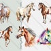 25 Horse PNG Collection Horse Clipart Set Watercolor Horse - Etsy
