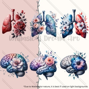 32 PNG Watercolor Organ & Flower Clipart, Watercolor Human Anatomy ...