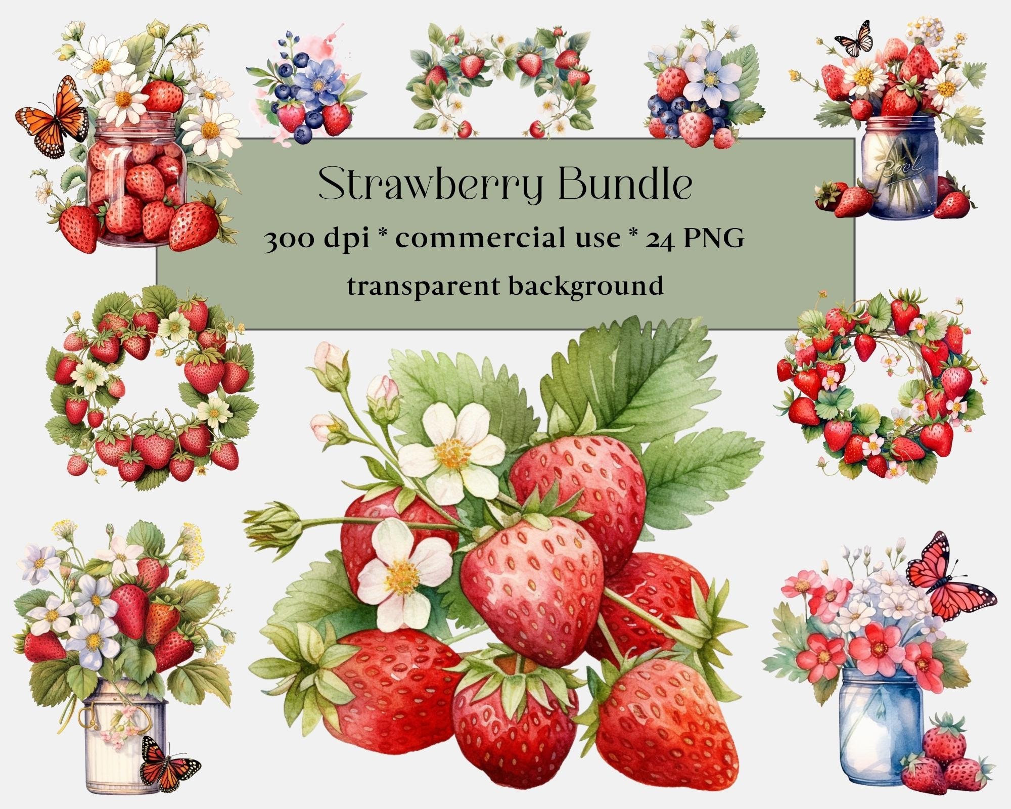 24 Watercolor Strawberry PNG Bundle Commercial Use - Etsy