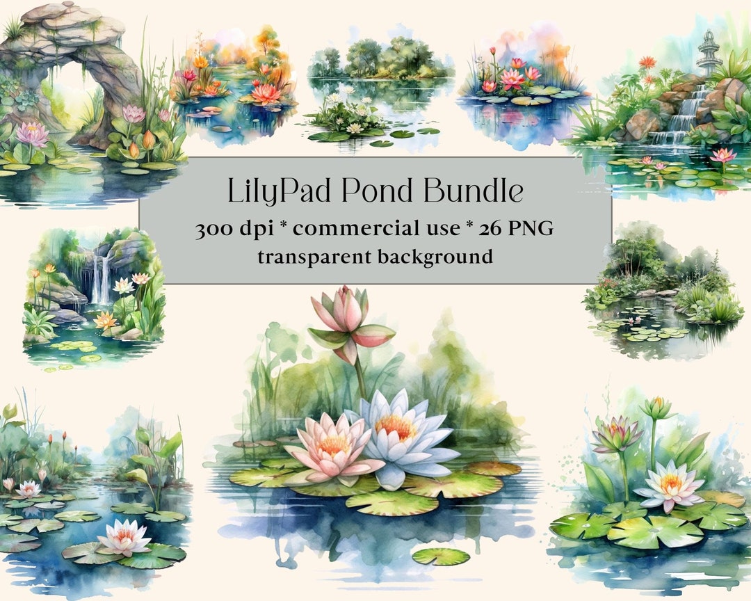 26 Watercolor Lily Pond Clipart - Springtime Cute Lily Pad and Frog ...