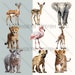 50 Safari Animal Clipart Bundle, Jungle Savannah PNG, African Animals ...