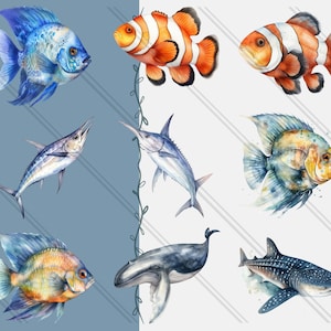 54 Watercolor Sea Creatures Clipart, PNG, Sealife, Wall Art, Turtle ...