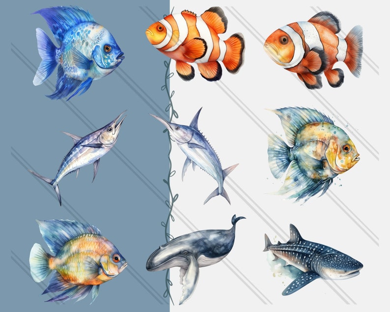 54 Watercolor Sea Creatures Clipart, PNG, Sealife, Wall Art, Turtle ...