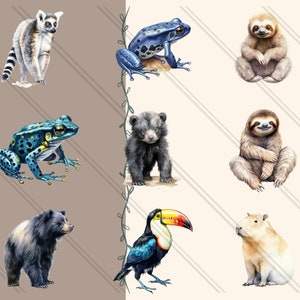 54 Jungle Animals Clipart Watercolor Bundle, Jungle Safari PNG, African ...