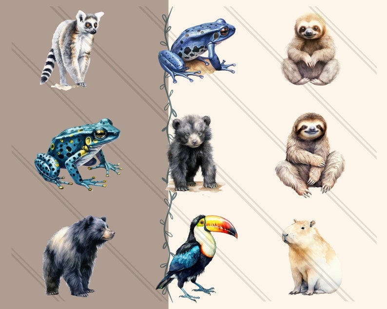 54 Jungle Animals Clipart Watercolor Bundle, Jungle Safari PNG, African ...