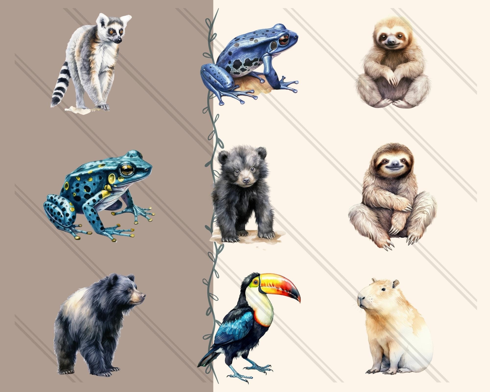 54 Jungle Animals Clipart Watercolor Bundle Jungle Safari - Etsy