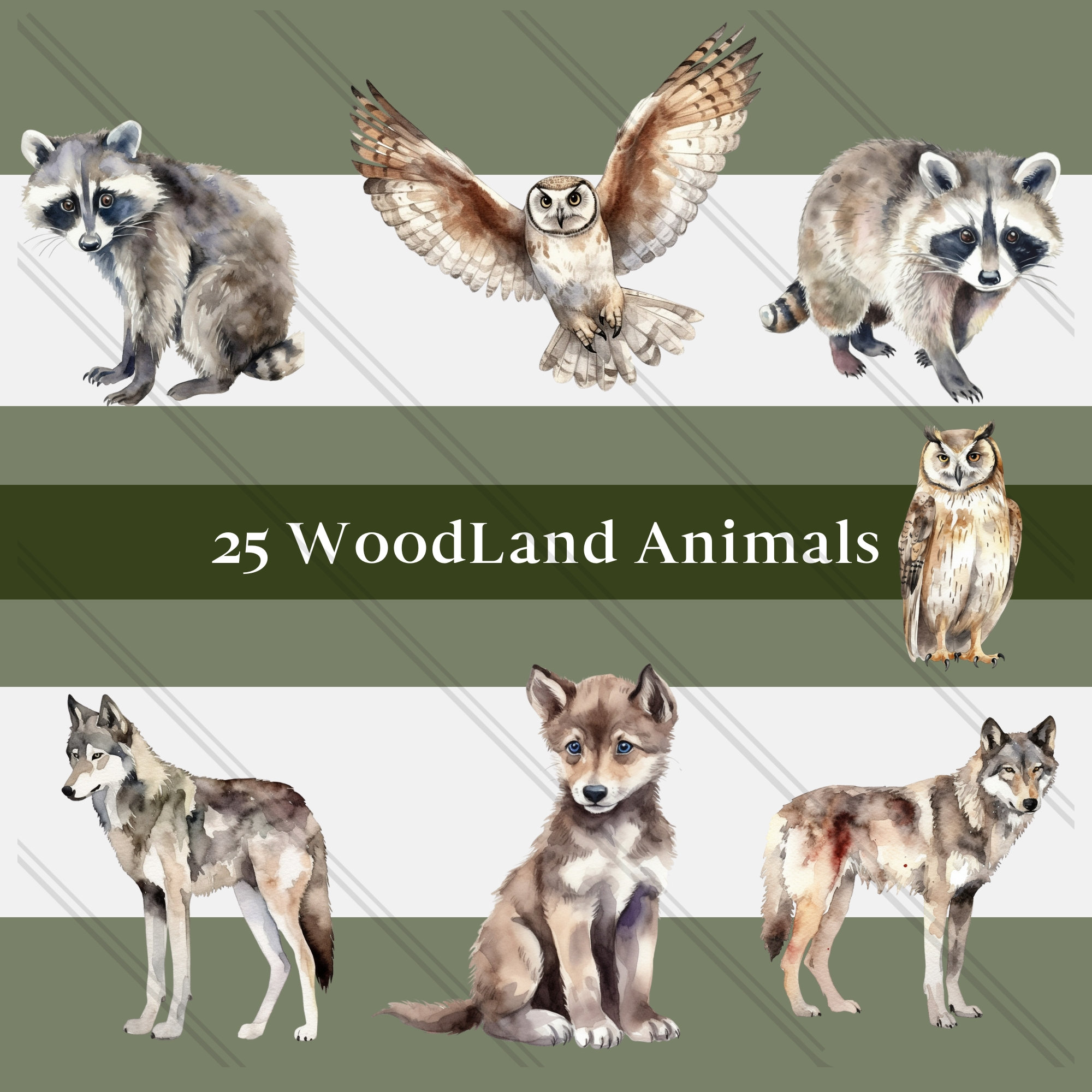 25 Woodland Animals Clipart, PNG, Watercolor Forest Animal Clipart ...