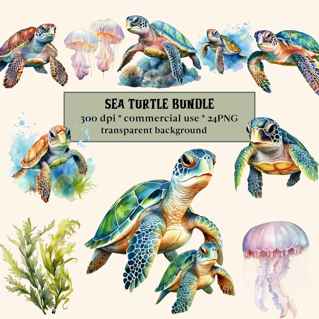 24 Watercolor Sea Turtle Clipart, Cute Nautical Ocean Animals PNG Clip ...
