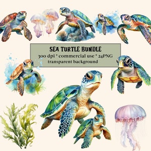 24 Watercolor Sea Turtle Clipart, Cute Nautical Ocean Animals PNG Clip ...