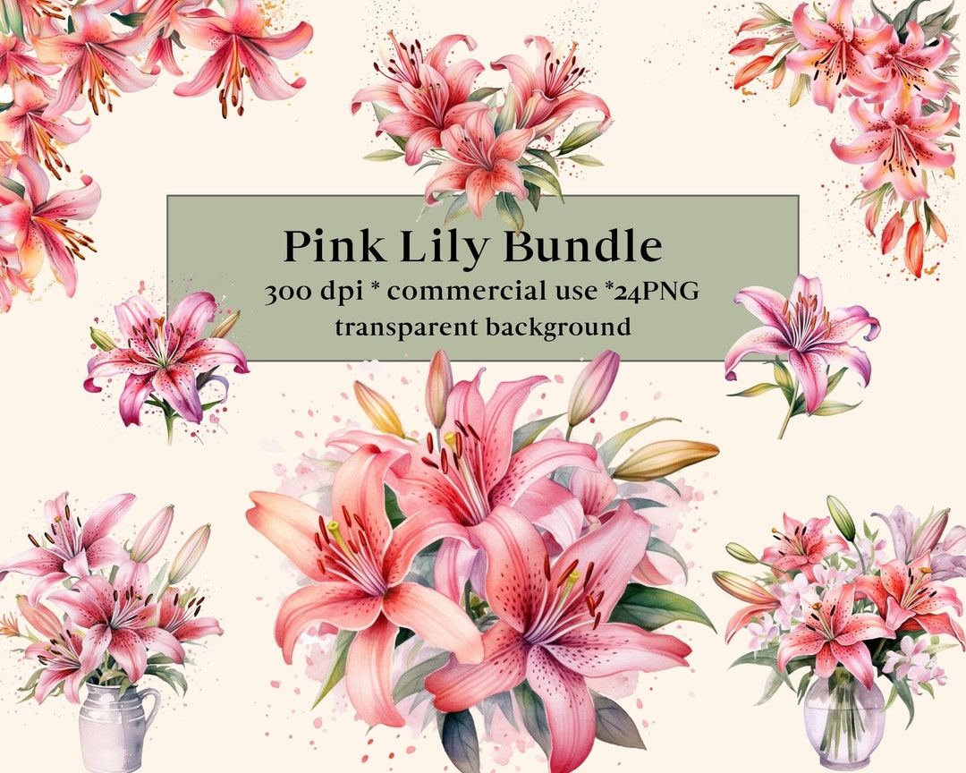 24 Watercolor Pink Tiger Lily Clipart - Lilies, Floral Frames ...